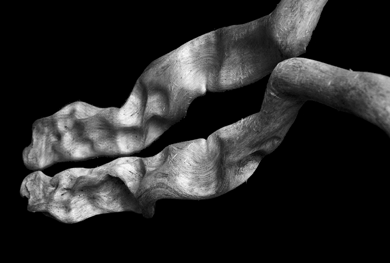 Brittle Bones By Dr Confuser DPChallenge
