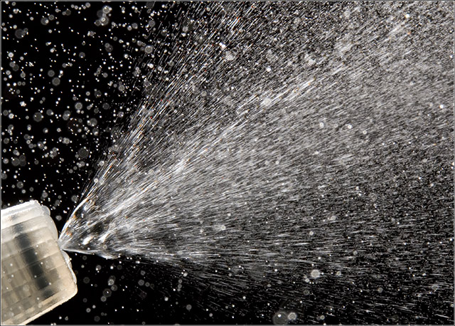 Everyone needs a hug after a nightmare : r/Eyebleach